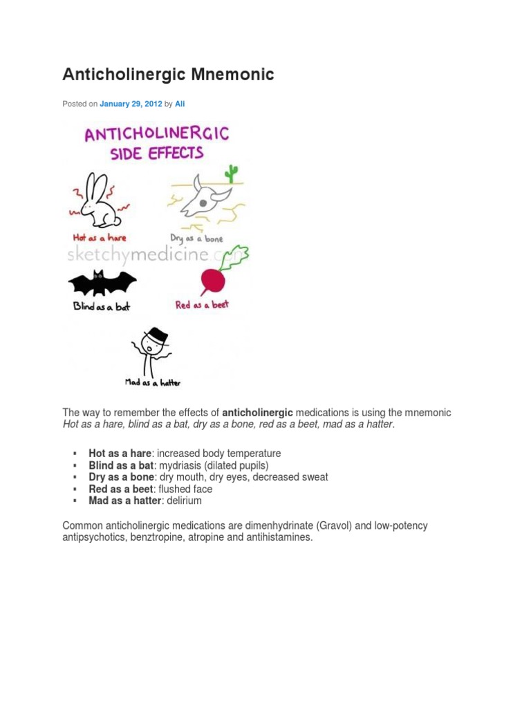 Anticholinergic Effects Mnemonic Guide | PDF