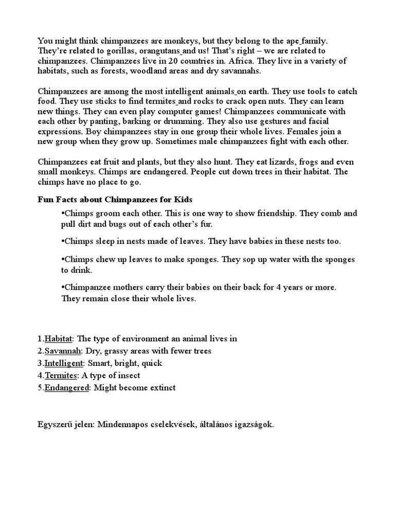 Chimpanzee | PDF | Chimpanzee | Ape