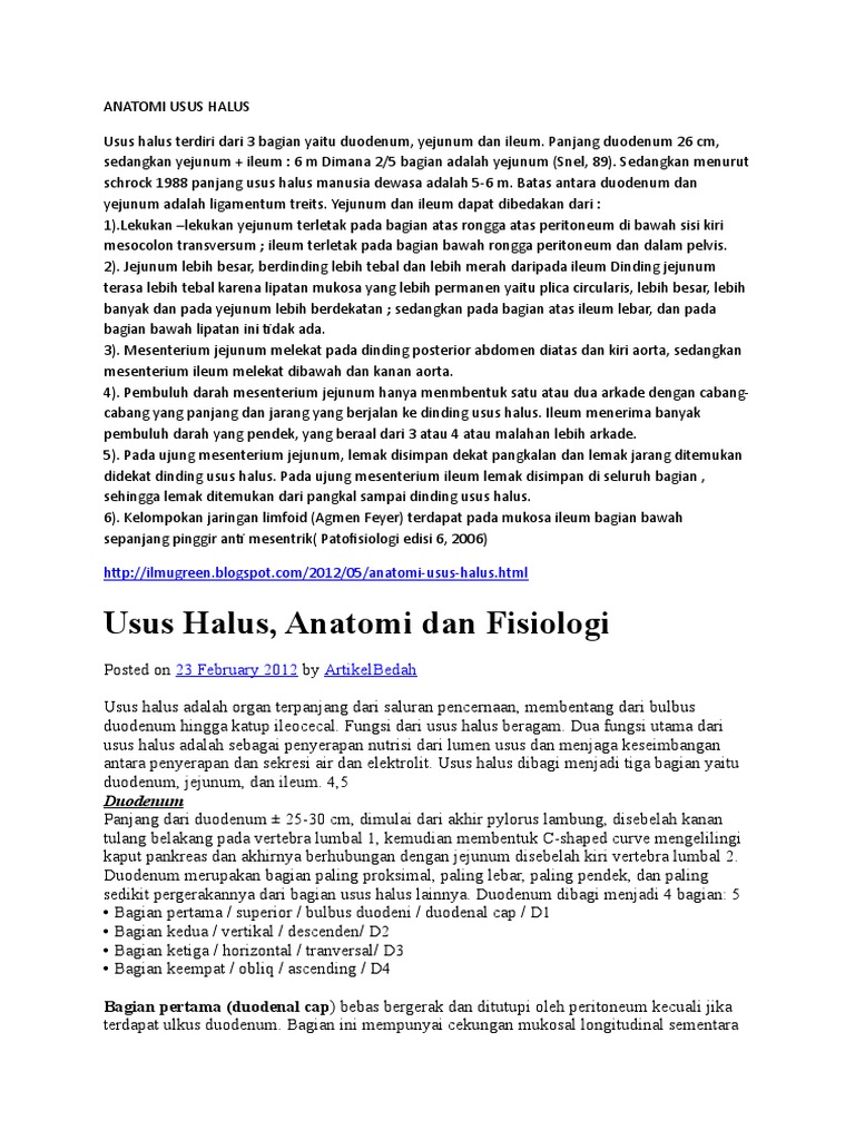 Anatomi Usus Halus | PDF