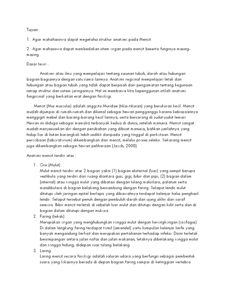 Pembahasan Anatomi Mencit | PDF