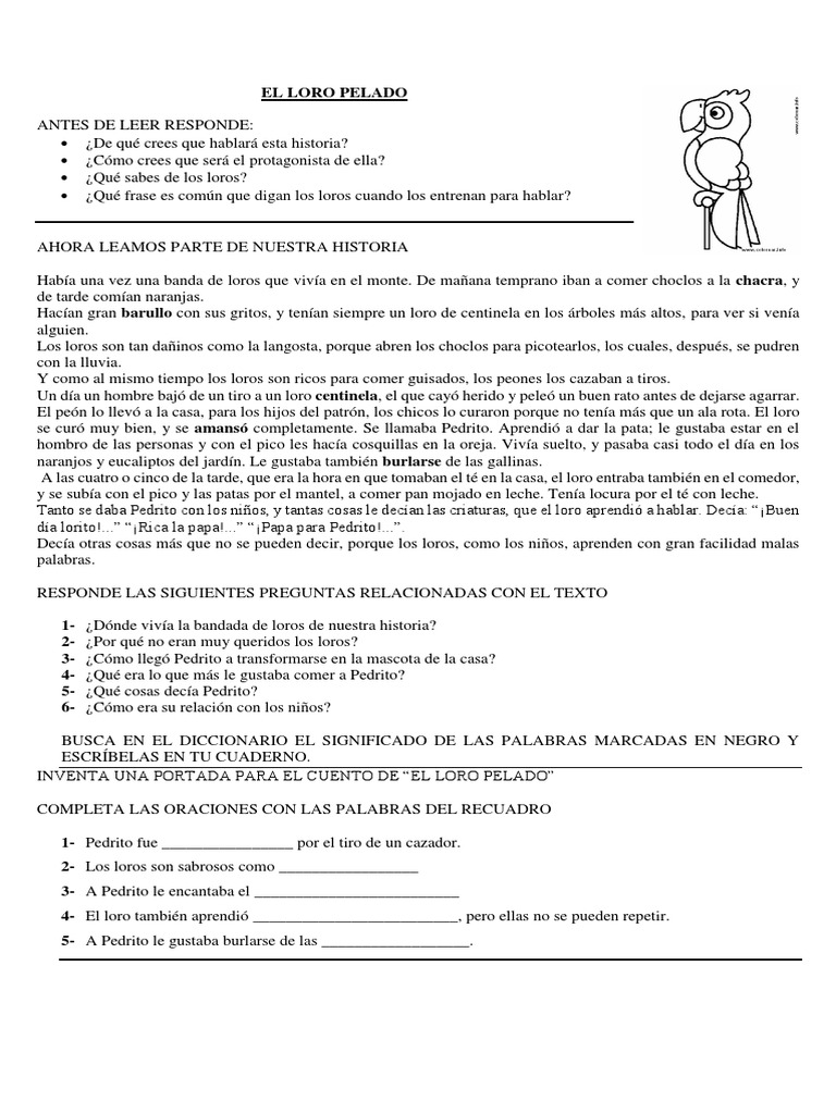 GuIa de ComprensiOn Lectora 3Âº ANo El Loro Pelado | PDF | Ocio