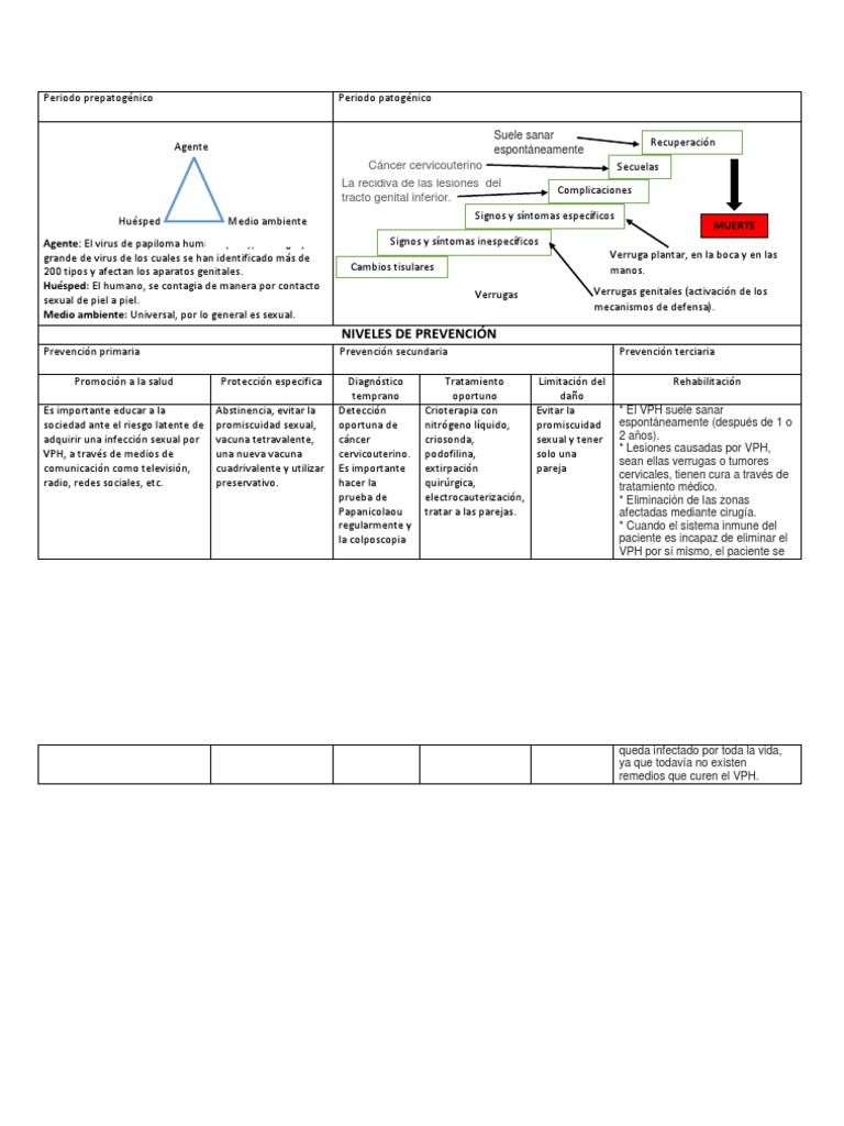 Periodo prepatogénico | Medicina | Epidemiología