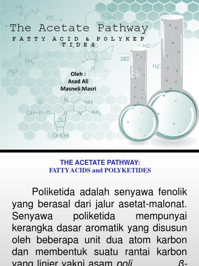 The Acetate Pathway | PDF