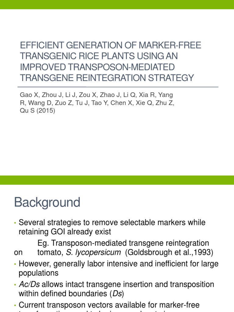 3593 Tutorial Presentation | PDF | Transgene | Reverse Transcription ...