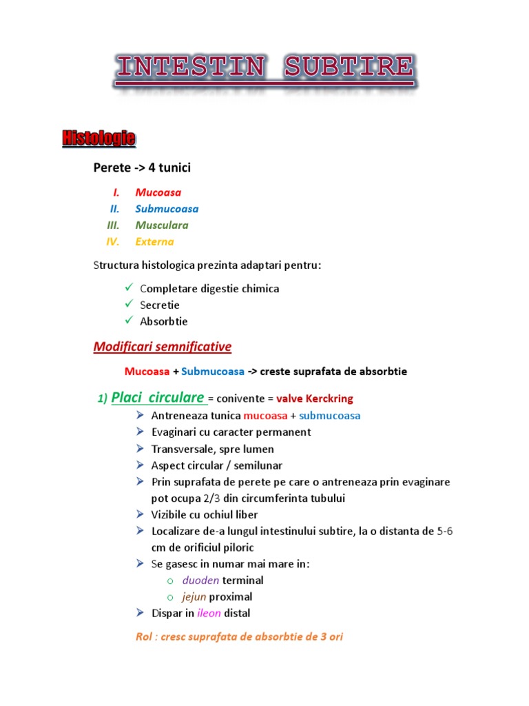 Intestin Subtire | PDF