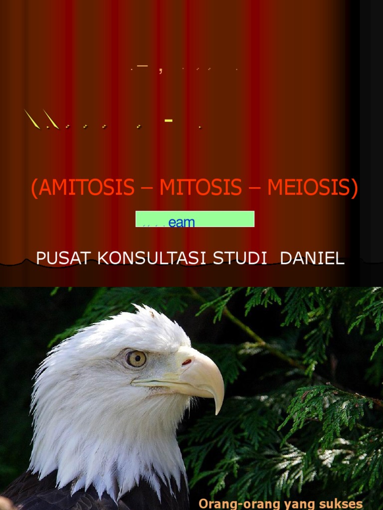 Modul 7 Reproduksi Sel 1 (Amitosis Mitosis Meiosis) | PDF