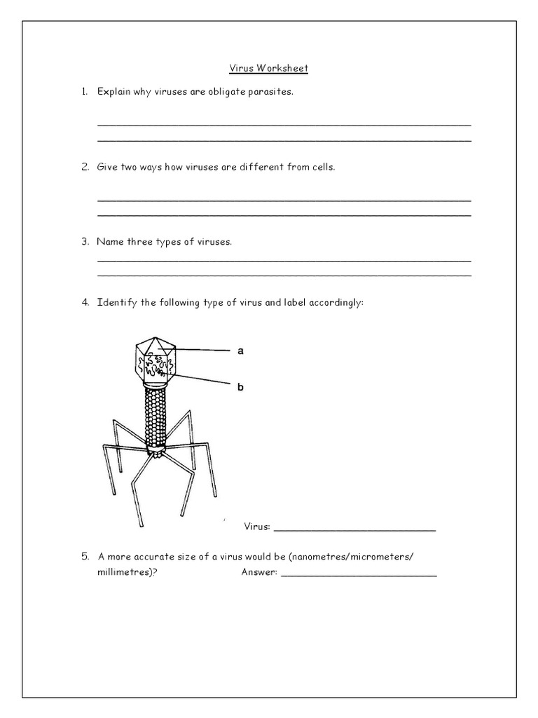 Virus Worksheet 2 | PDF