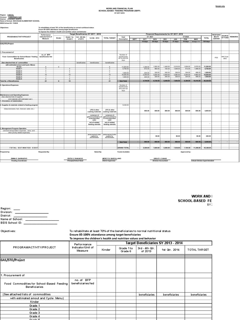 Work of Financial Plan Feeding 2017 | PDF | Business | Energy And Resource