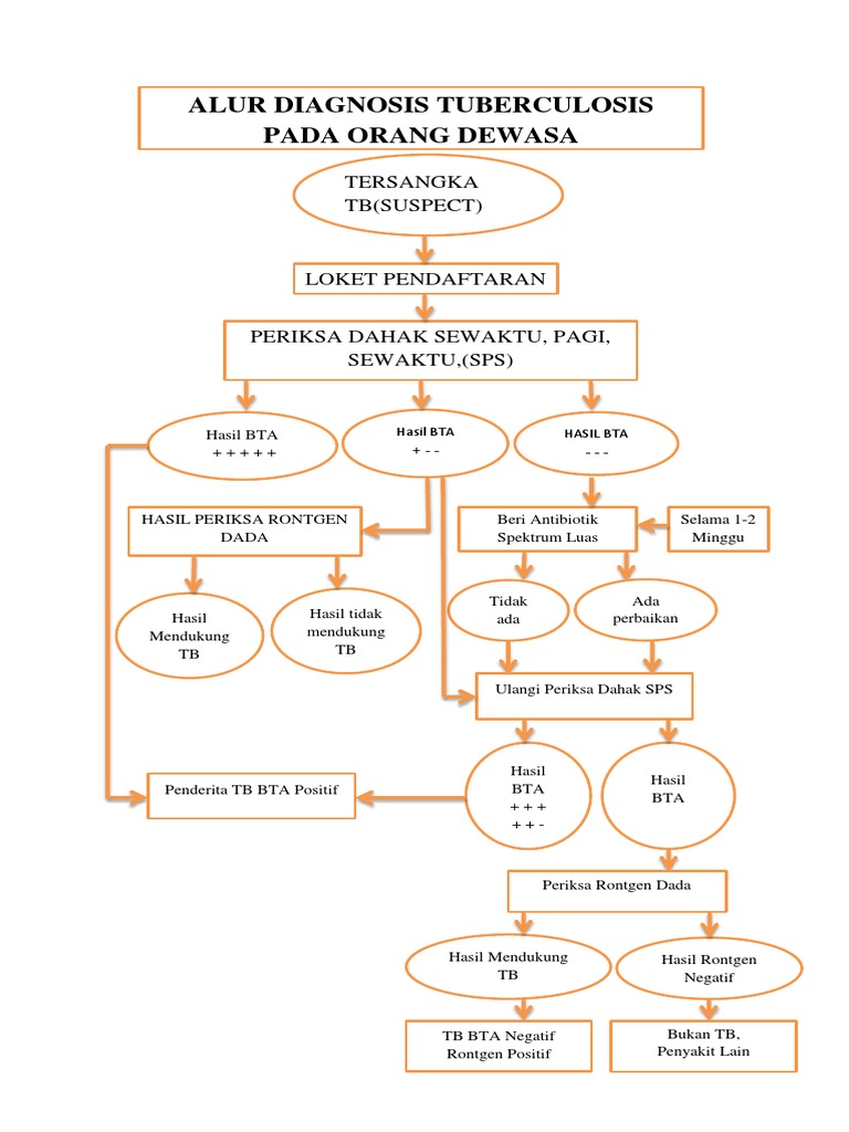 Alur Diagnosis Tuberkulosis Pada Orang Dewasa | PDF