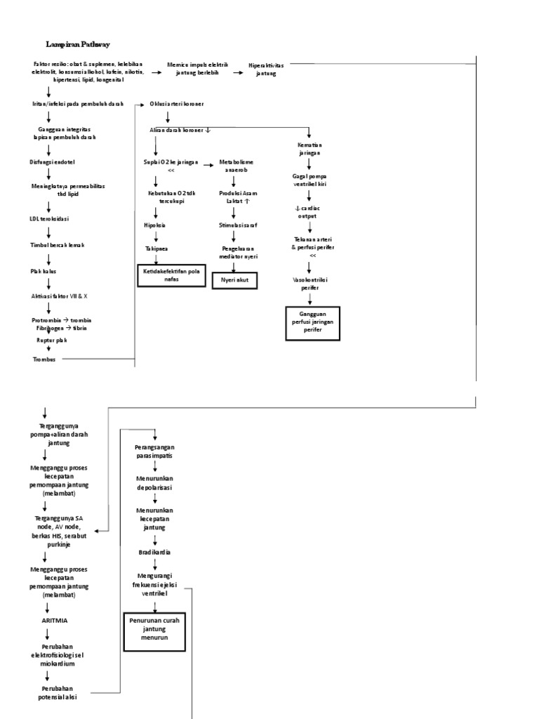 Pathway Aritmia Fix | PDF