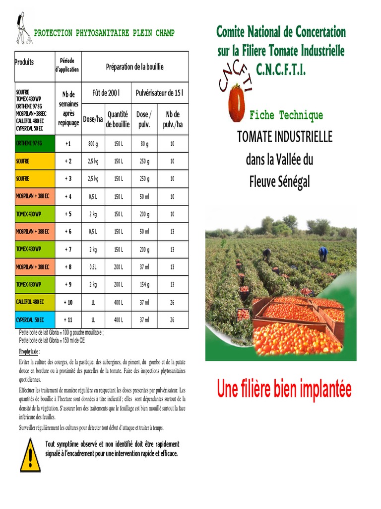 Fiche Tomate | Cultivar | Sol (pédologie)