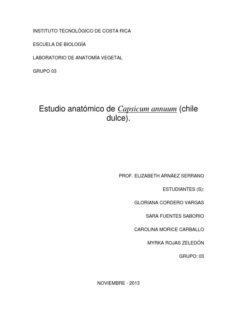 Anatomía de Capsicum annuum en Chile | PDF | Tallo de la planta | Raíz