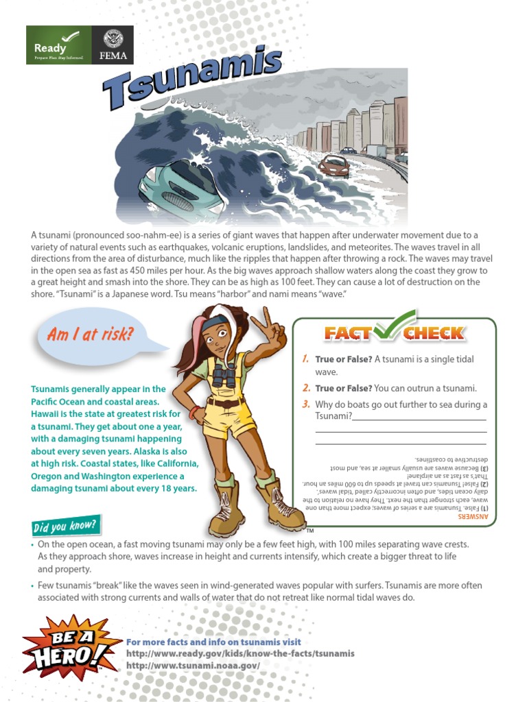 Tsunami Fact Sheet PDF | PDF | Tsunami | Bodies Of Water