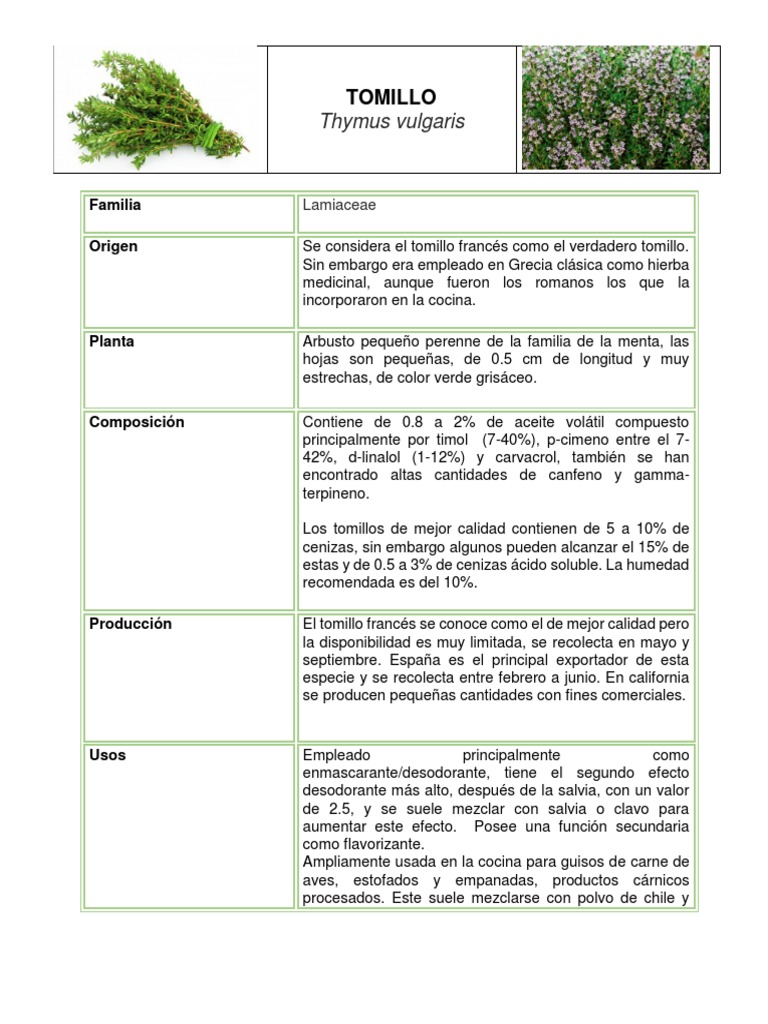 Tomillo | Descargar gratis PDF | Clavo | Carne