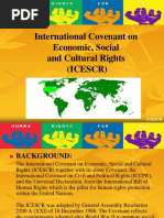 Overview of the ICESCR 1966 | PDF