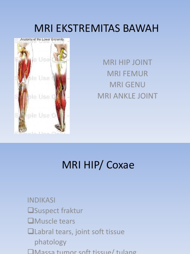 Pert - Xi Mri Ekstremitas Bawah | PDF