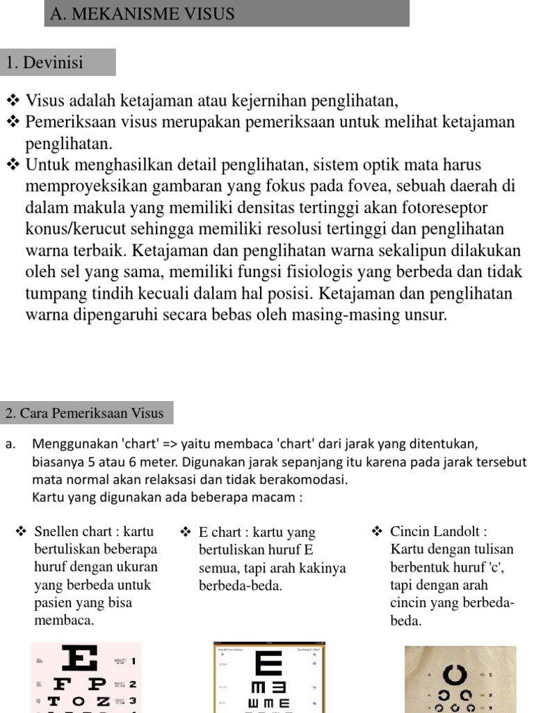 Pemeriksaan Visus | PDF