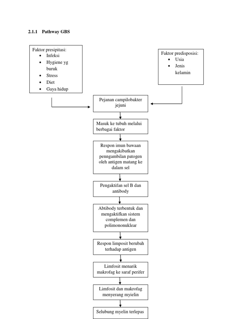 Pathway GBS | PDF