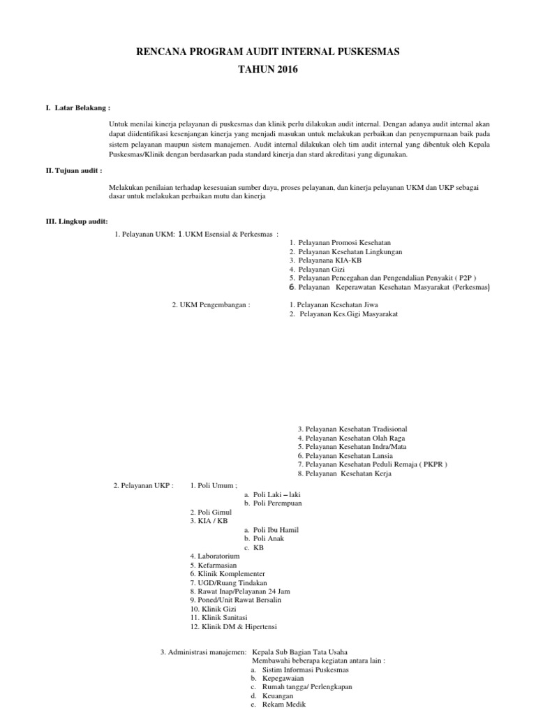 Rencana Audit Internal Puskesmas 2016 | PDF