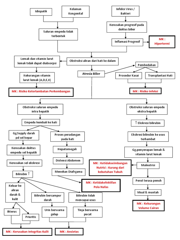 Woc & Askep Umum Atresia Bilier | PDF