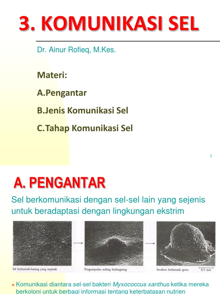 Komunikasi Sel | PDF