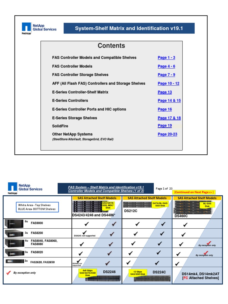 NetApp SystemHandout | PDF | Disk Storage | Solid State Drive