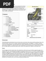 Vestibular Rehabilitation: Gaze Stabilization VOR x2 | PDF