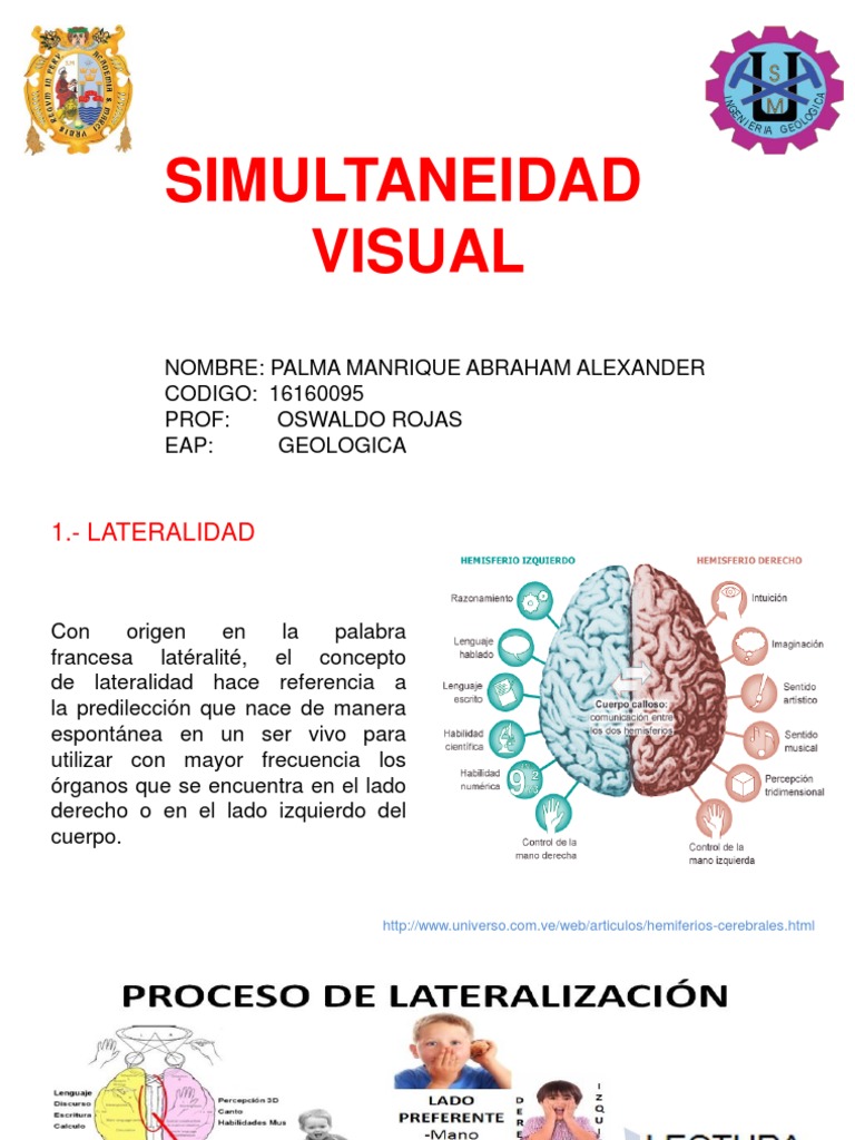 simultaneidad visual ppt.pptx | Hemisferio cerebral | Creatividad