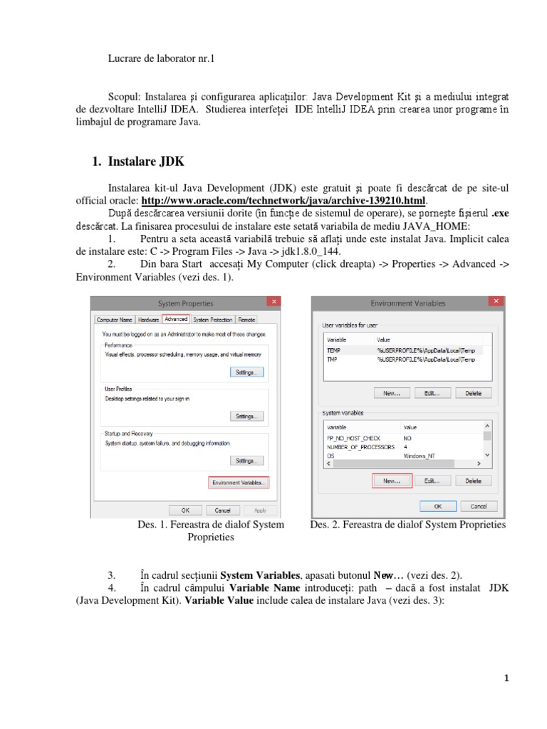 Lab 1 JDK IntelliJ IDEA Integrarea IDE PDF | PDF