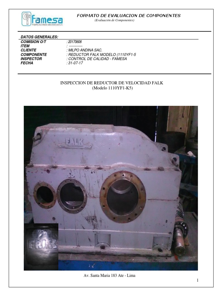 Inspeccion de Reductor de Velocidad Falk (Modelo 1110YF1-K5 ...
