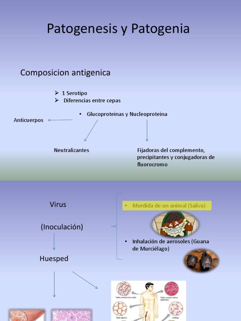 Patogenesis y Patogenia | PDF