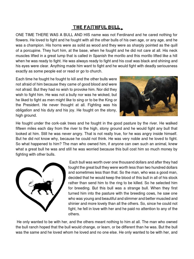 The Faithful Bull | PDF | Bull