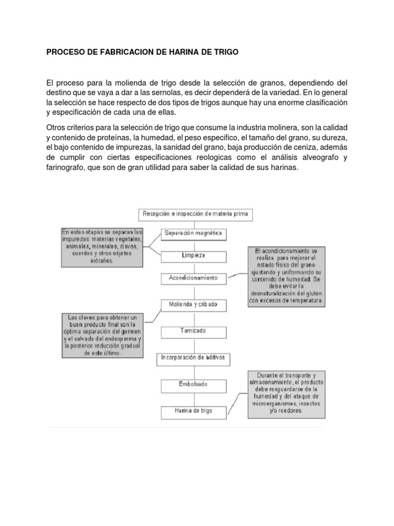 Proceso de Fabricacion de Harina de Trigo Jorge | PDF | Panes | Trigo