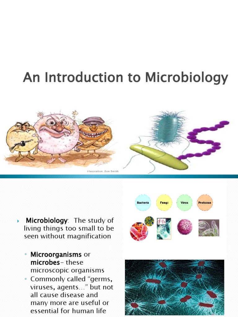 Introduction to Microbiology Concepts | PDF | Microorganism | Cell ...