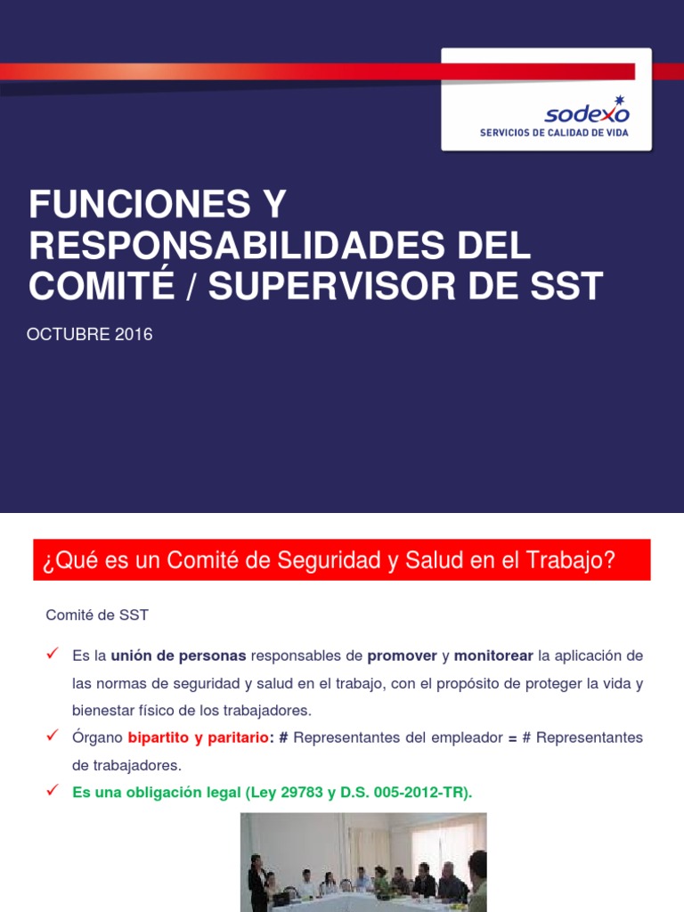 Funciones Comité-Supervisor de SST Oct 2016 | Cuidado de salud del gobierno | Gobierno