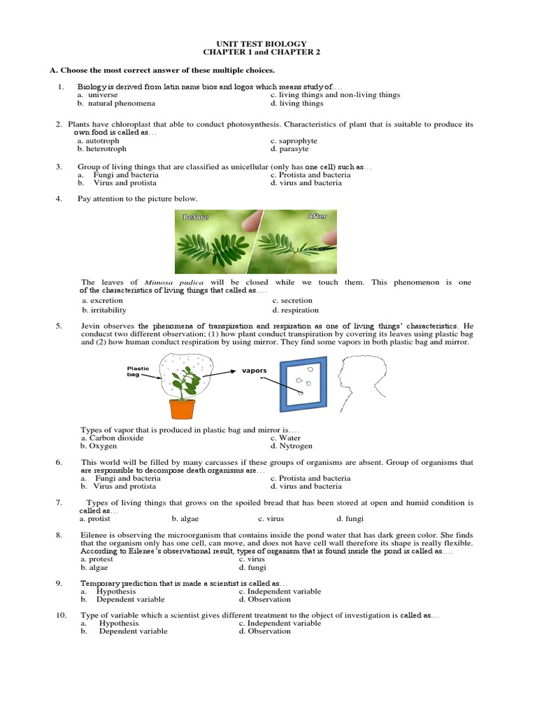 Unit Test - Living Things and Microscope PDF | PDF | Plants | Life