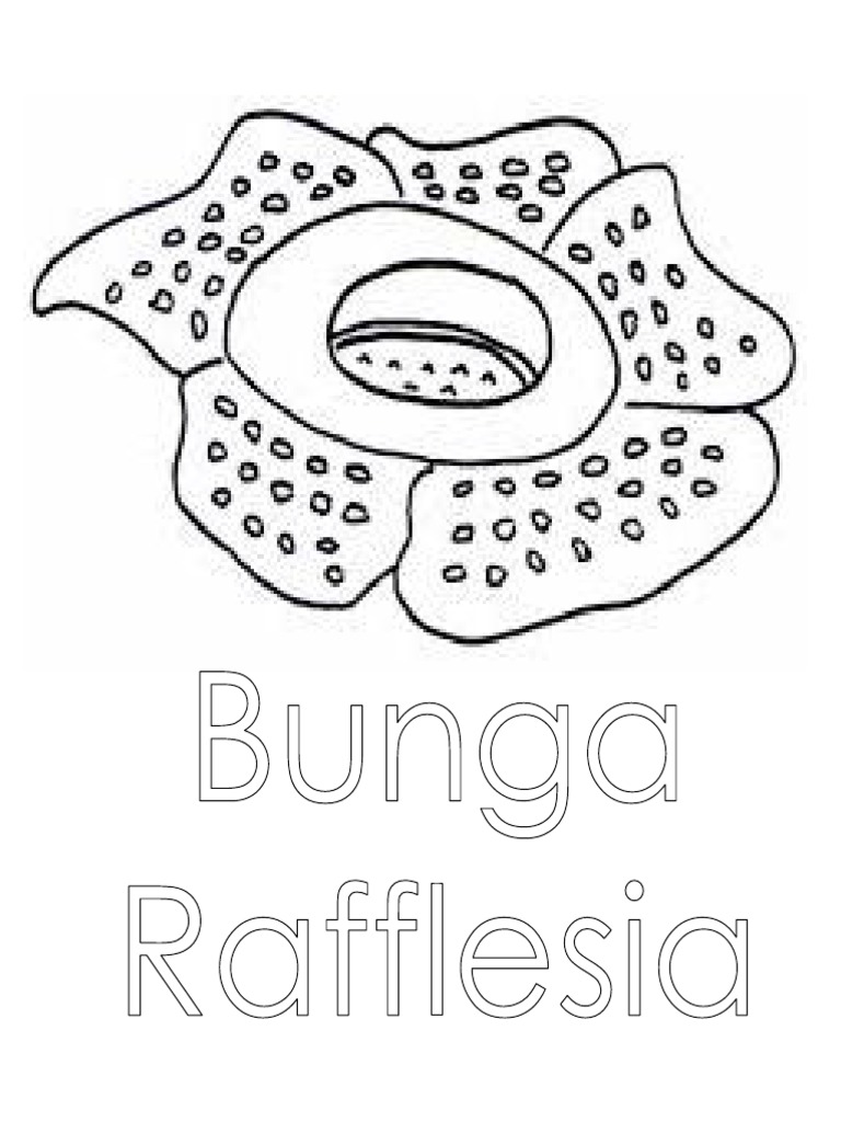 Gambar Bunga Rafflesia | PDF