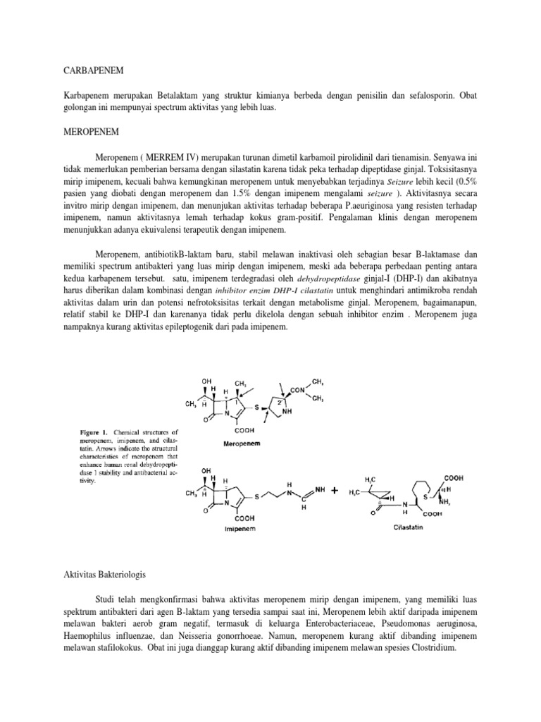 Meropenem: Antibiotik Karbapenem Baru | PDF | Kesehatan Holistik