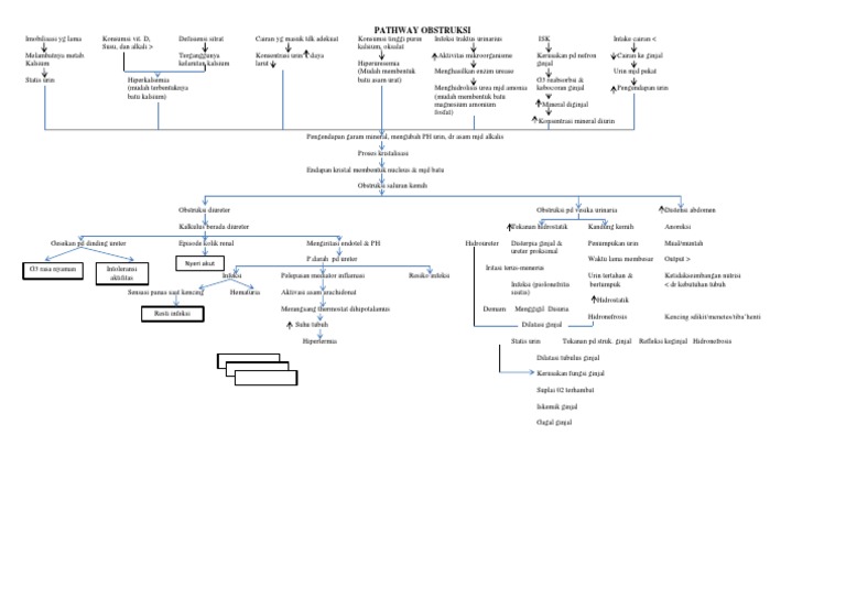 Pathway Obstruksi | PDF