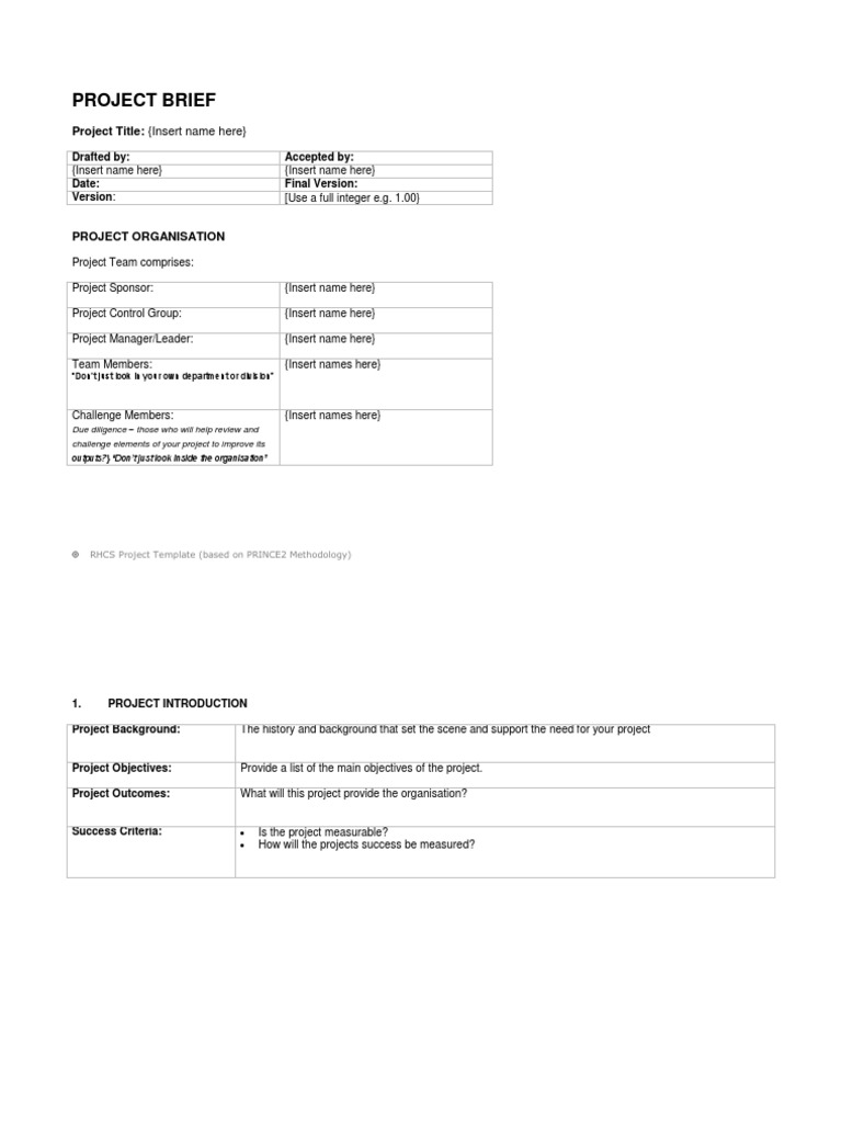 Project Brief Template | PDF | Risk | Economies