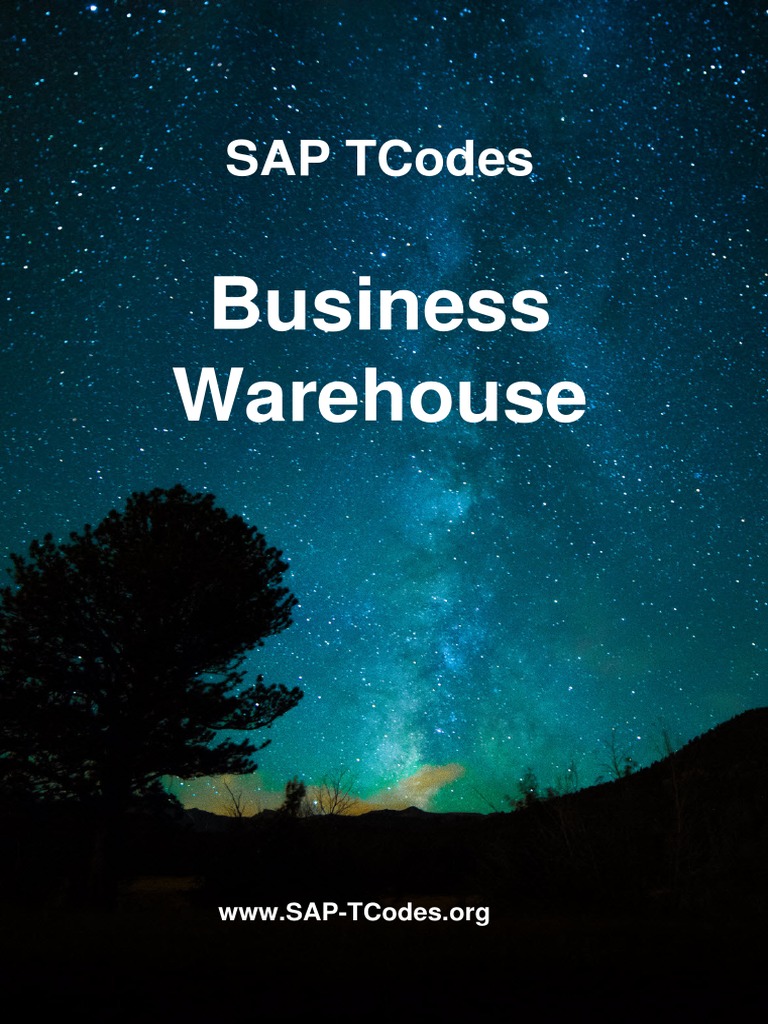 Sap Tcodes Module BW en | PDF | Computing | Business