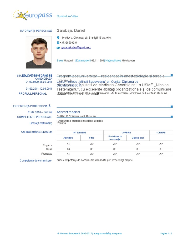 Model CV Europass | PDF