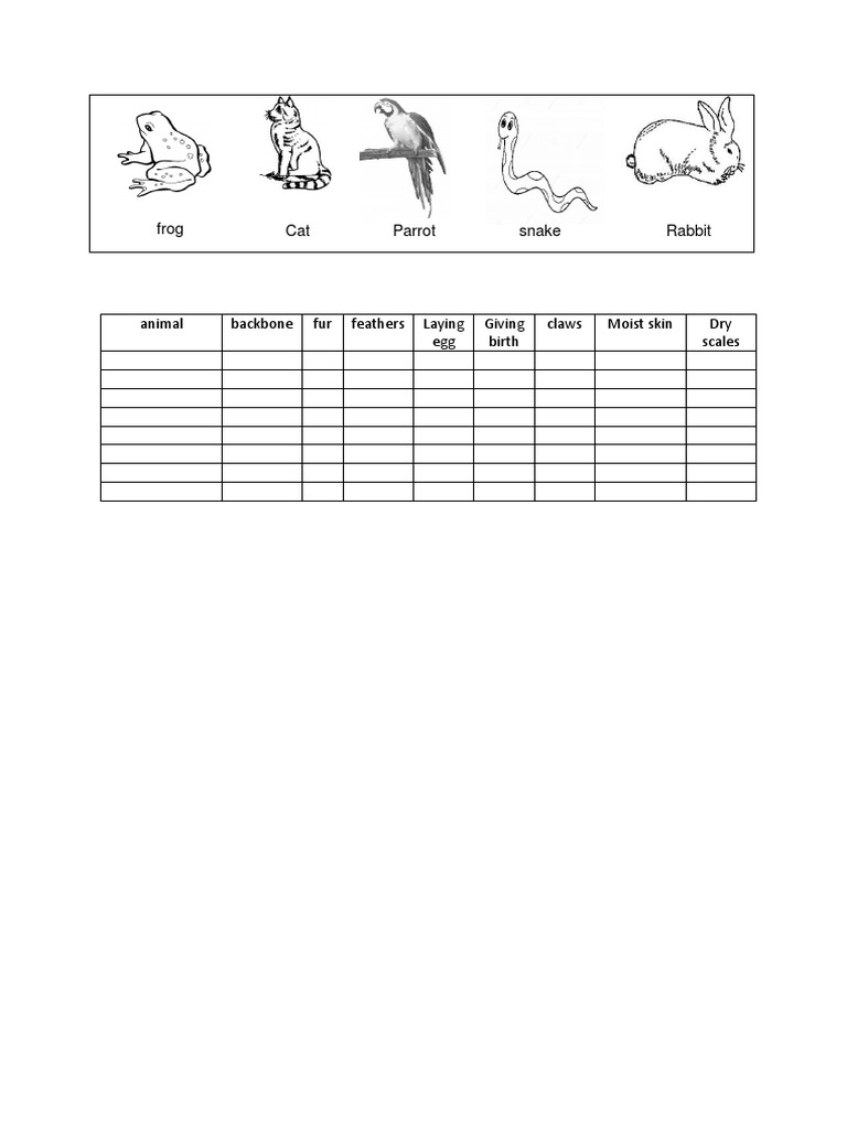 Animal Classification: Traits & Examples | PDF