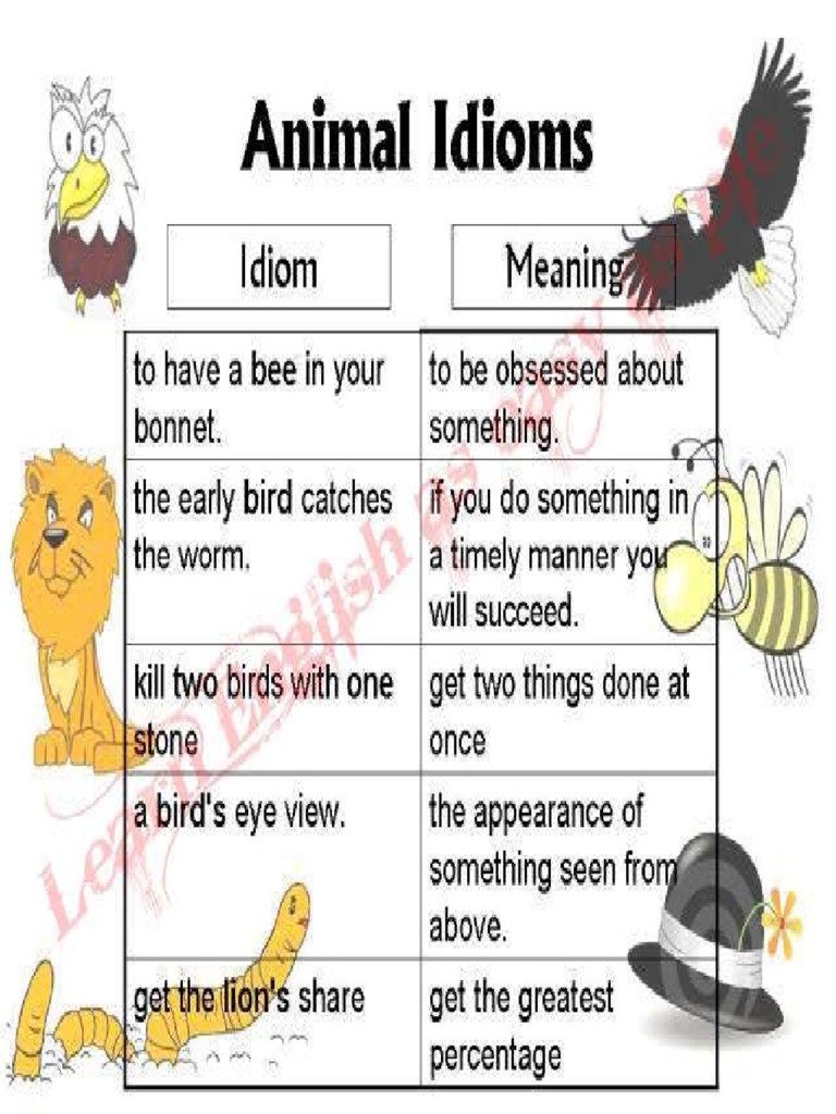 Animal Idioms PDF.pdf | Psychology & Cognitive Science