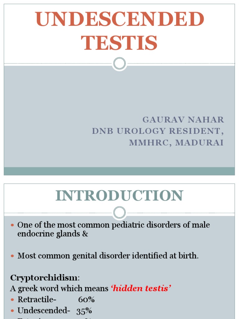 Undescended Testis | PDF | Testicle | Endocrine System