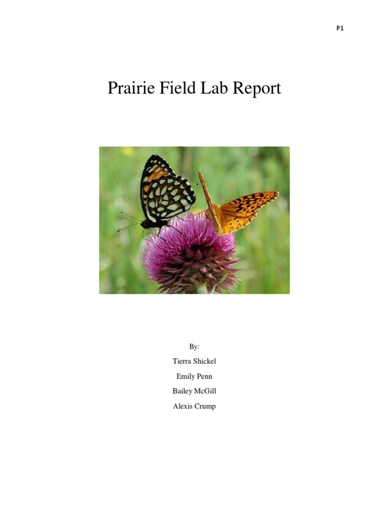 Prairie Paper | PDF | Prairie | Rain
