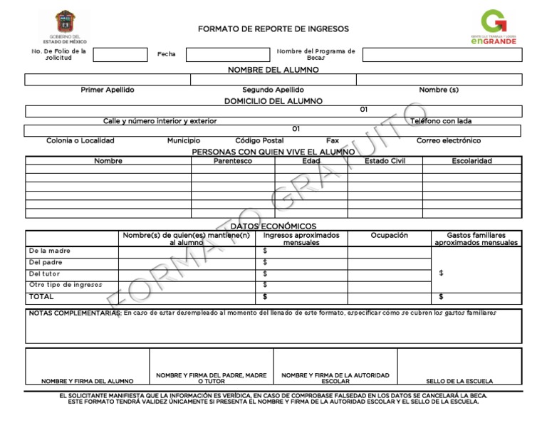 Formato de Reporte de Ingresos PDF | PDF