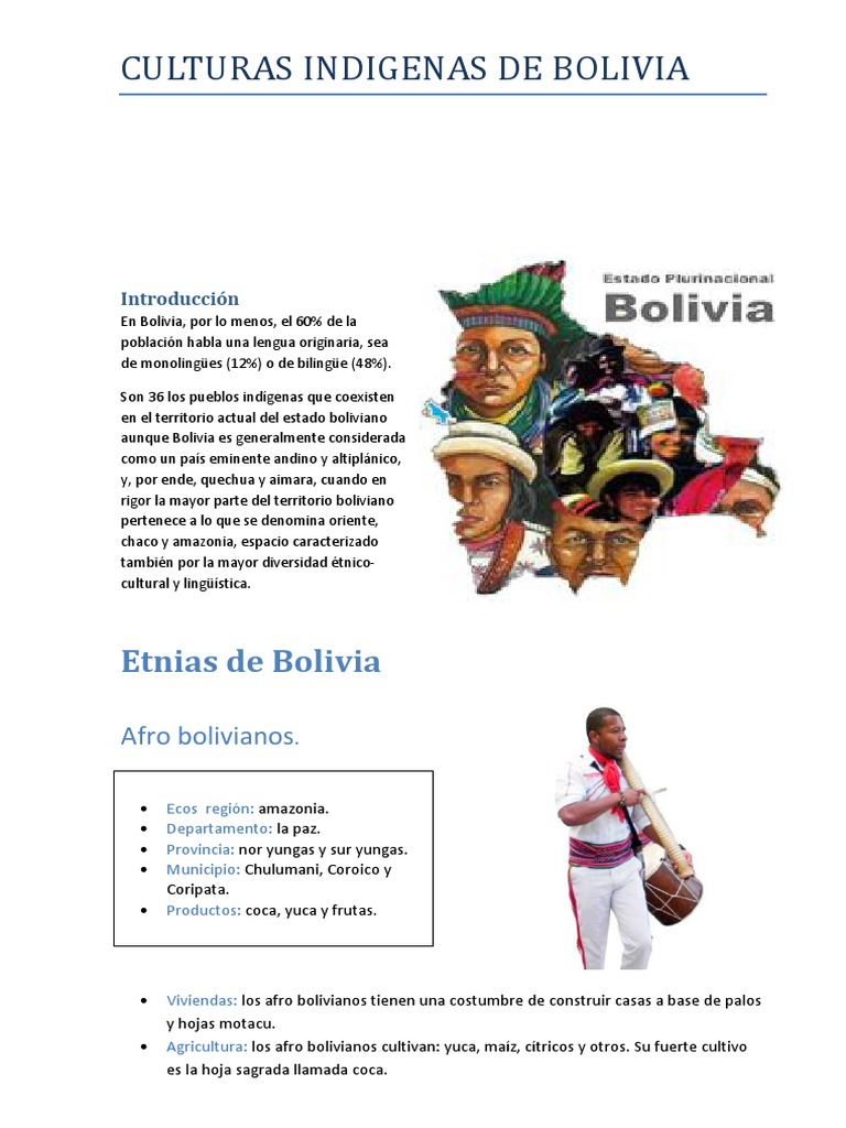 Culturas Indígenas de Bolivia | PDF | Bolivia | Agricultura