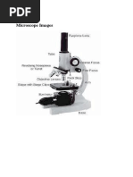 Labeled Diagram of a Compound Microscope | PDF