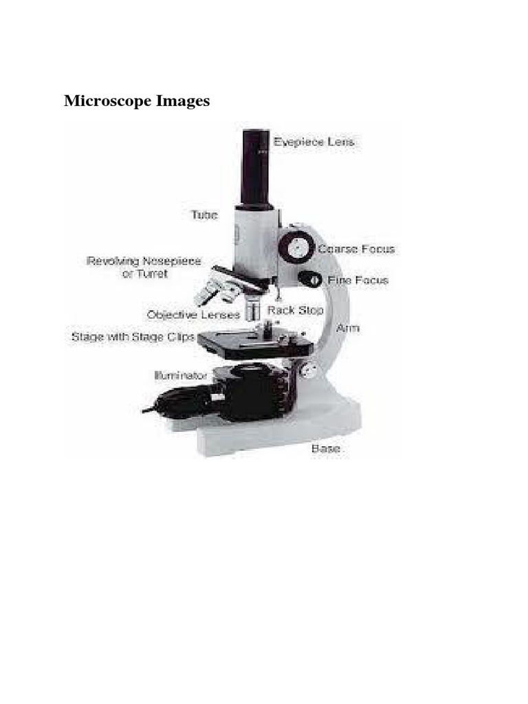 Parts and Functions of a Microscope | PDF